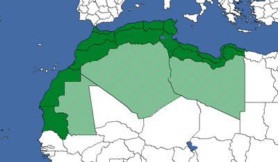 Formable nations/Africa - Hearts of Iron 4 Wiki